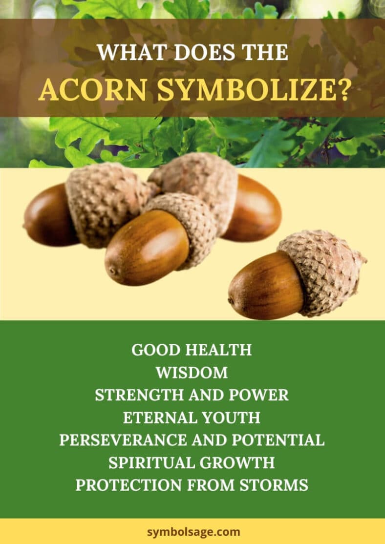 Acorn Symbolism: What Does this Little Nut Mean?