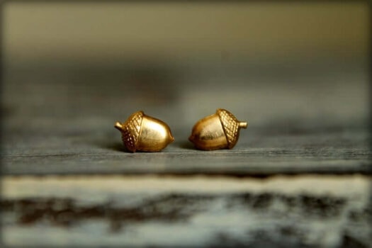 Acorn Symbolism: What Does this Little Nut Mean?