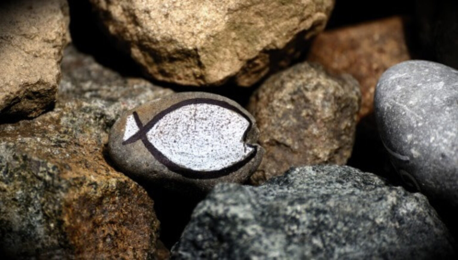 History of the Fish as a Christian Symbol - Symbol Sage