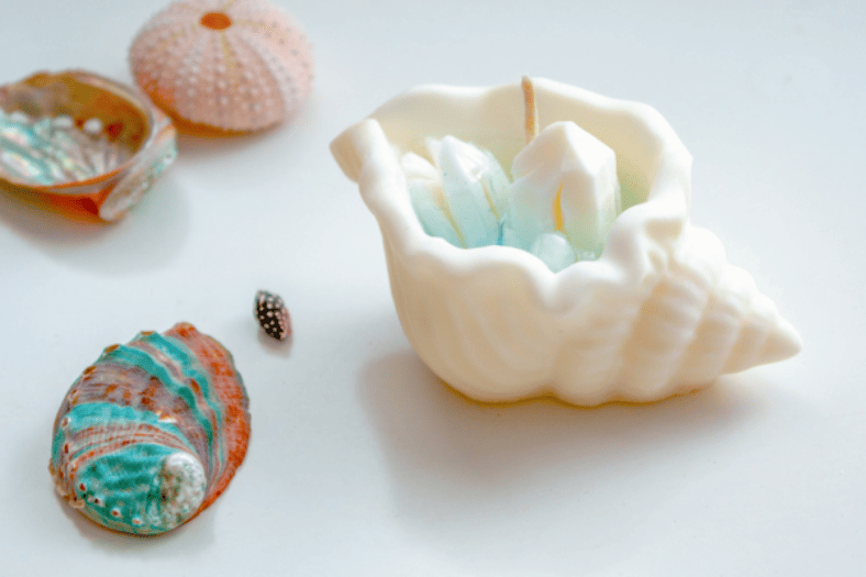The Conch Shell in Culture and Spirituality - Symbol Sage