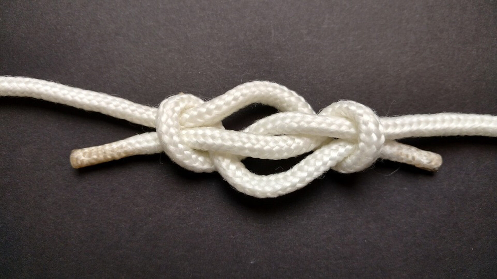 The Powerful Legacy of 12 Ancient Roman Symbols