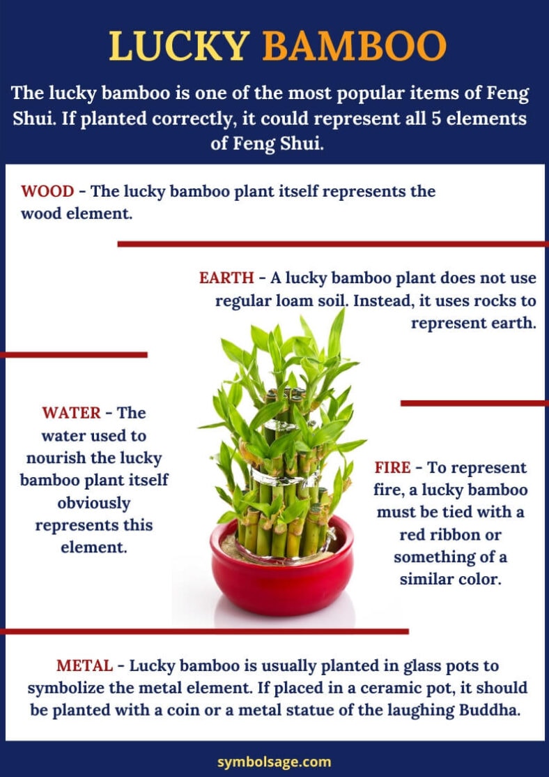 Lucky Bamboo – Why Is It a Lucky Symbol? - Symbol Sage