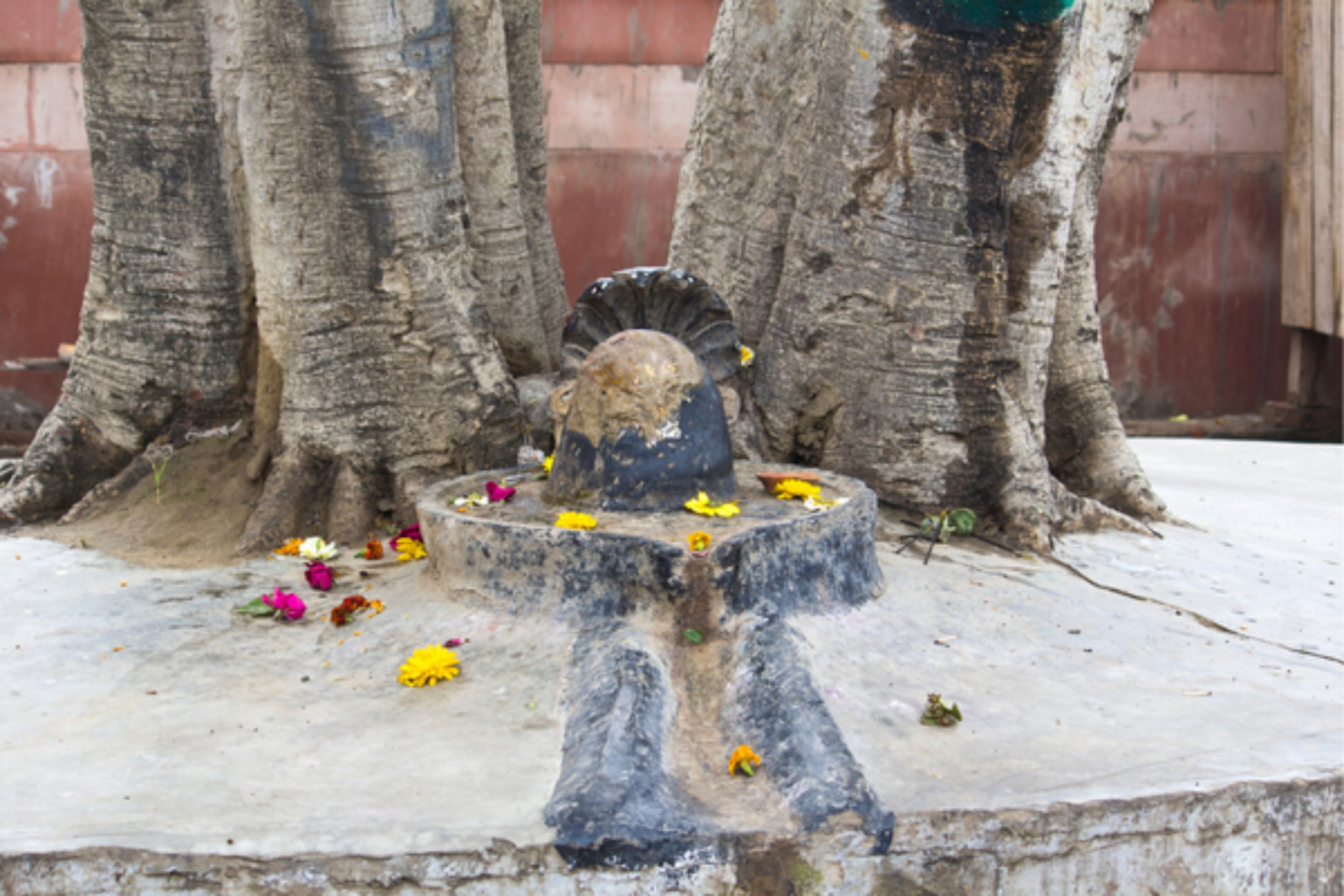 Shiva Lingam: Decoding the Mysteries of an Ancient Hindu Symbol