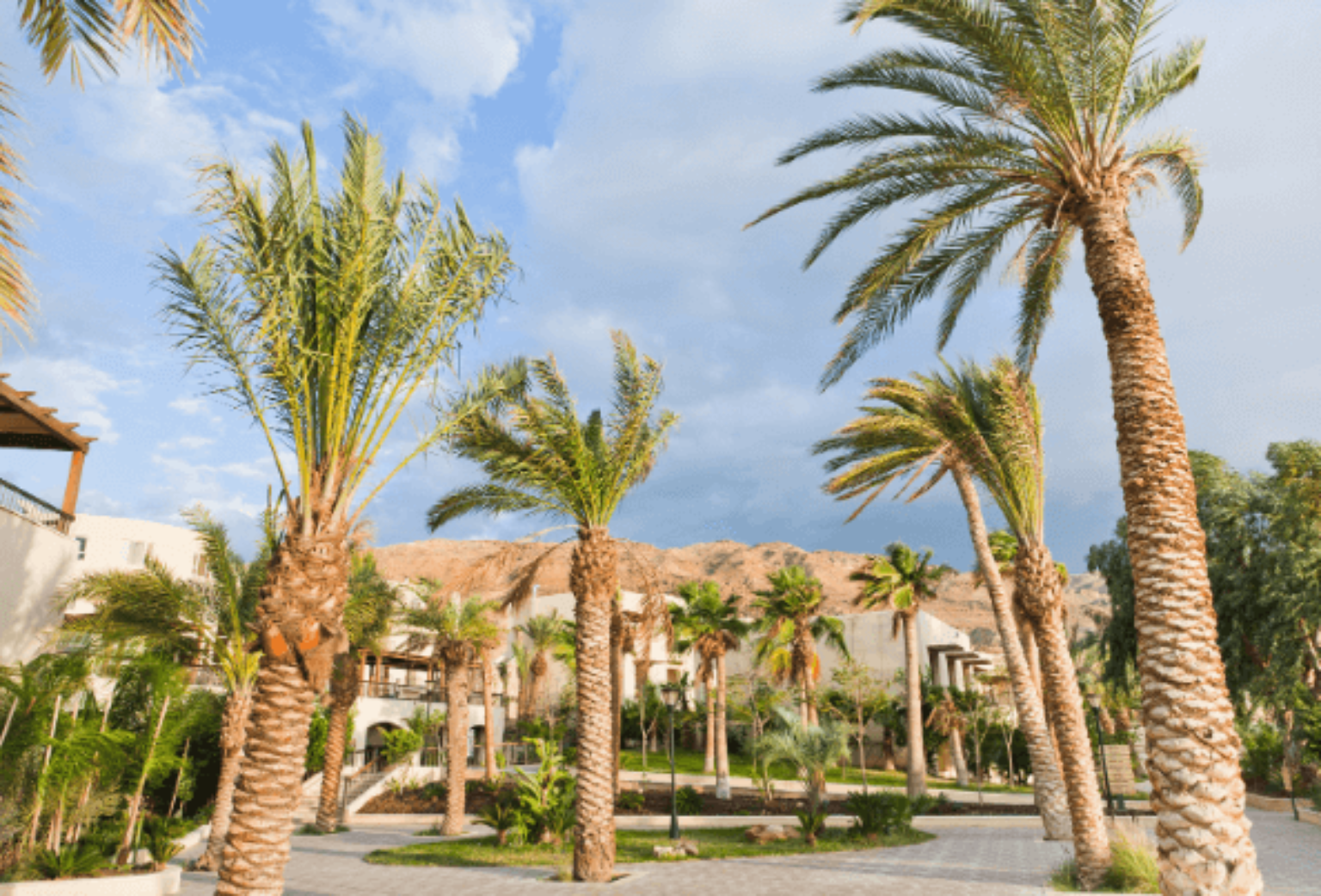 From Menorah to Chai: A Guide to Jewish Religious Symbols