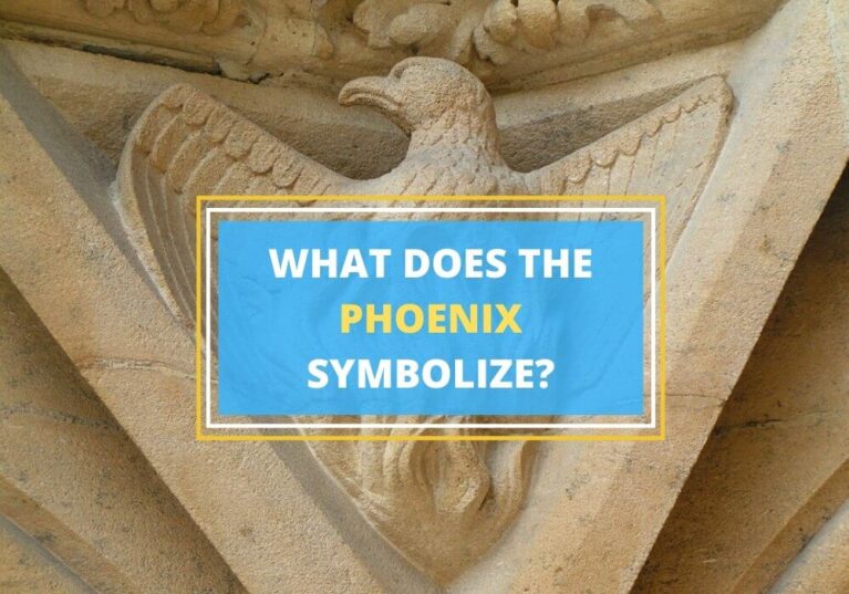What Is the Phoenix Bird? History and Origin - Symbol Sage
