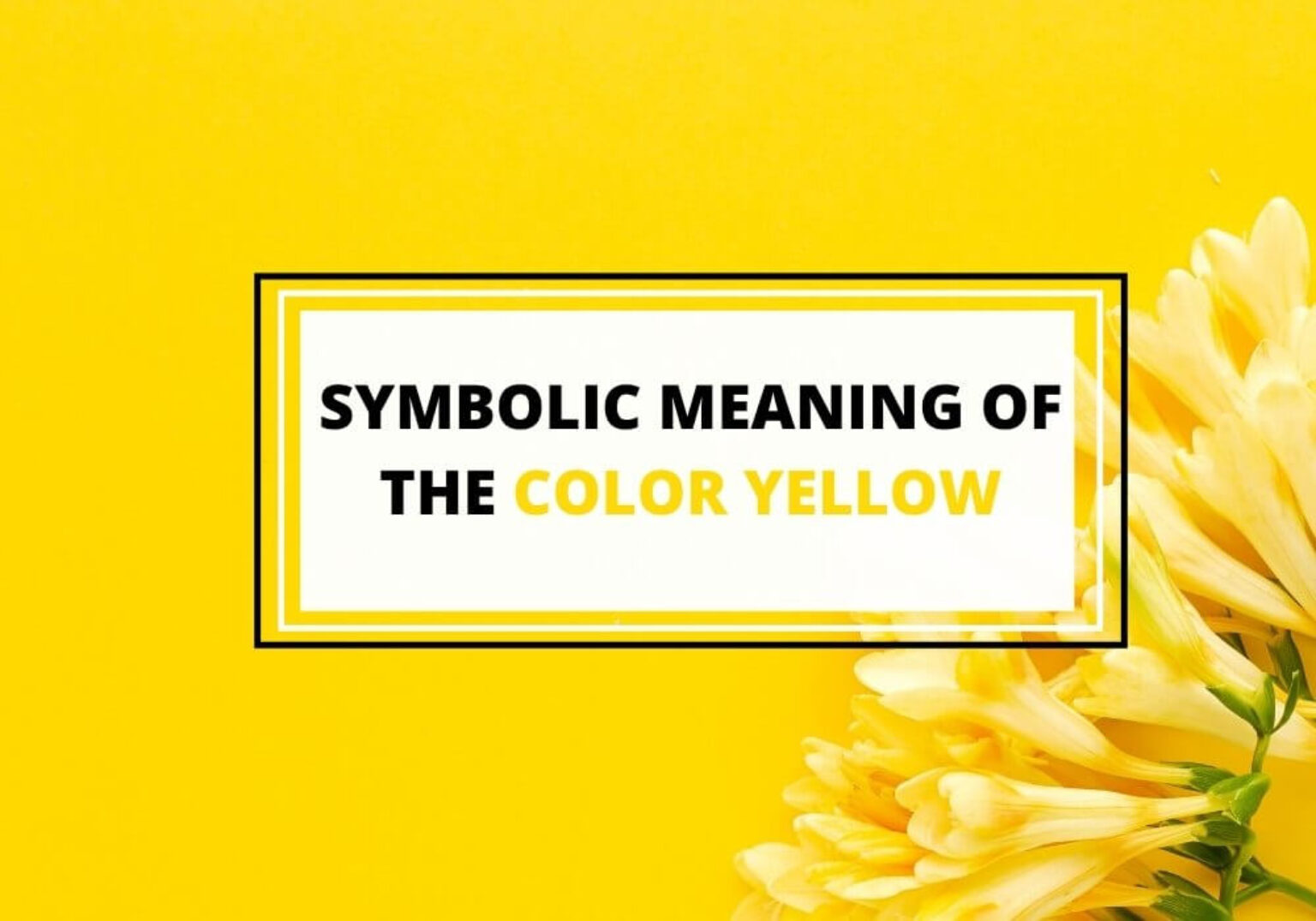 Yellow: A Color of Joy, Caution, and Complexity - Symbol Sage
