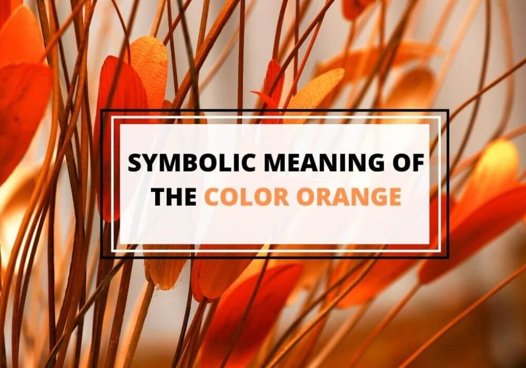 Orange: More Than Just a Color - A Symbolic Exploration - Symbol Sage
