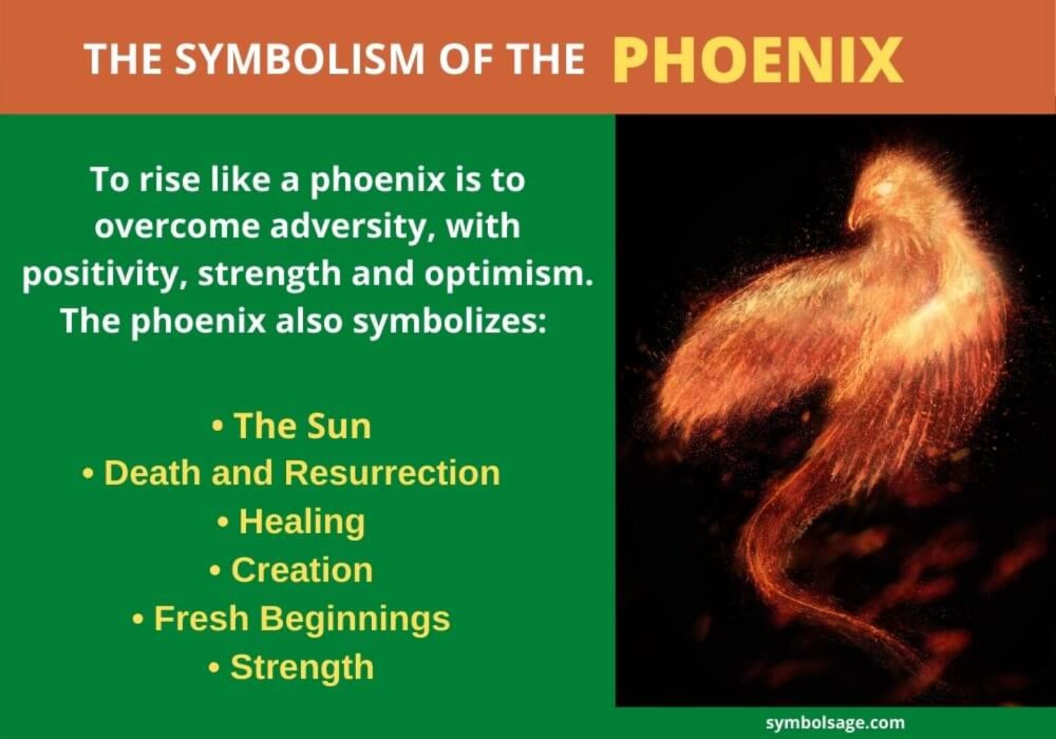 15 Powerful Symbols of Life and What They Mean