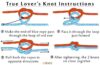 True Lover's Knot - What Does It Symbolize?