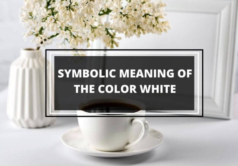 The Power of White: A Historical and Symbolic Exploration - Symbol Sage