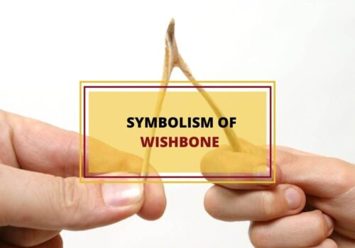 The Wishbone: From Ancient Ritual to Modern Symbolism - Symbol Sage