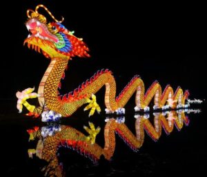 Dragons – Here’s How They Originated - Symbol Sage