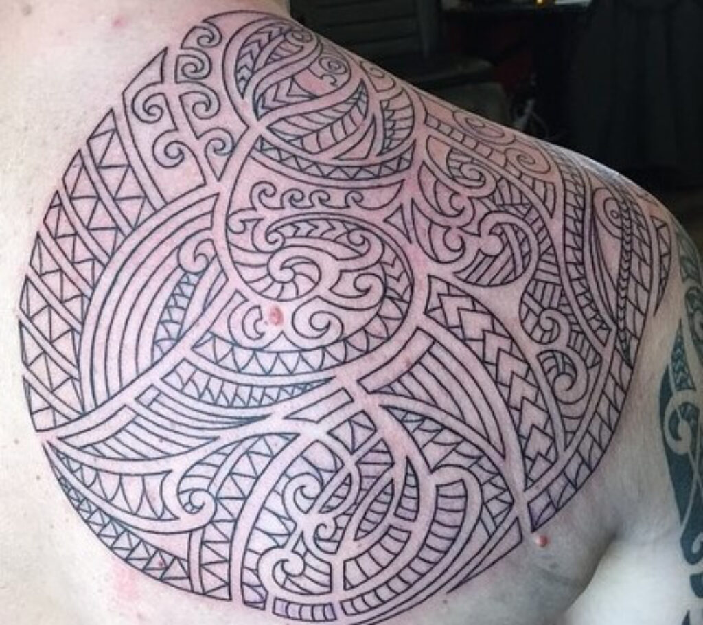 Koru – Meaning and Symbolism - Symbol Sage