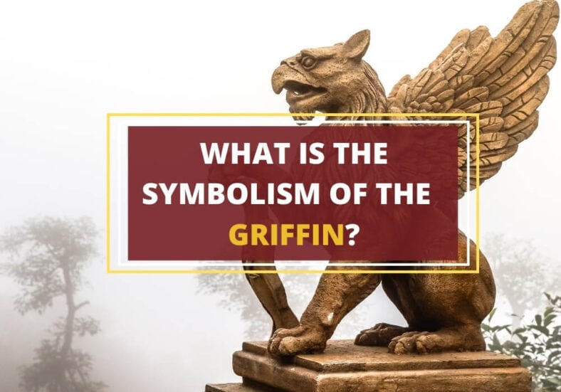 What Was the Griffin? History, Origins and Symbolism - Symbol Sage
