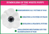 White Poppy – Symbolism and Meaning - Symbol Sage
