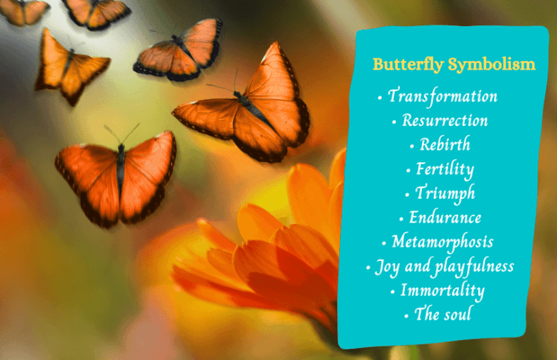 Powerful Symbolism of Butterflies from Around the World
