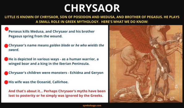 Chrysaor: Medusa's Other Offspring and His Hidden Story - Symbol Sage