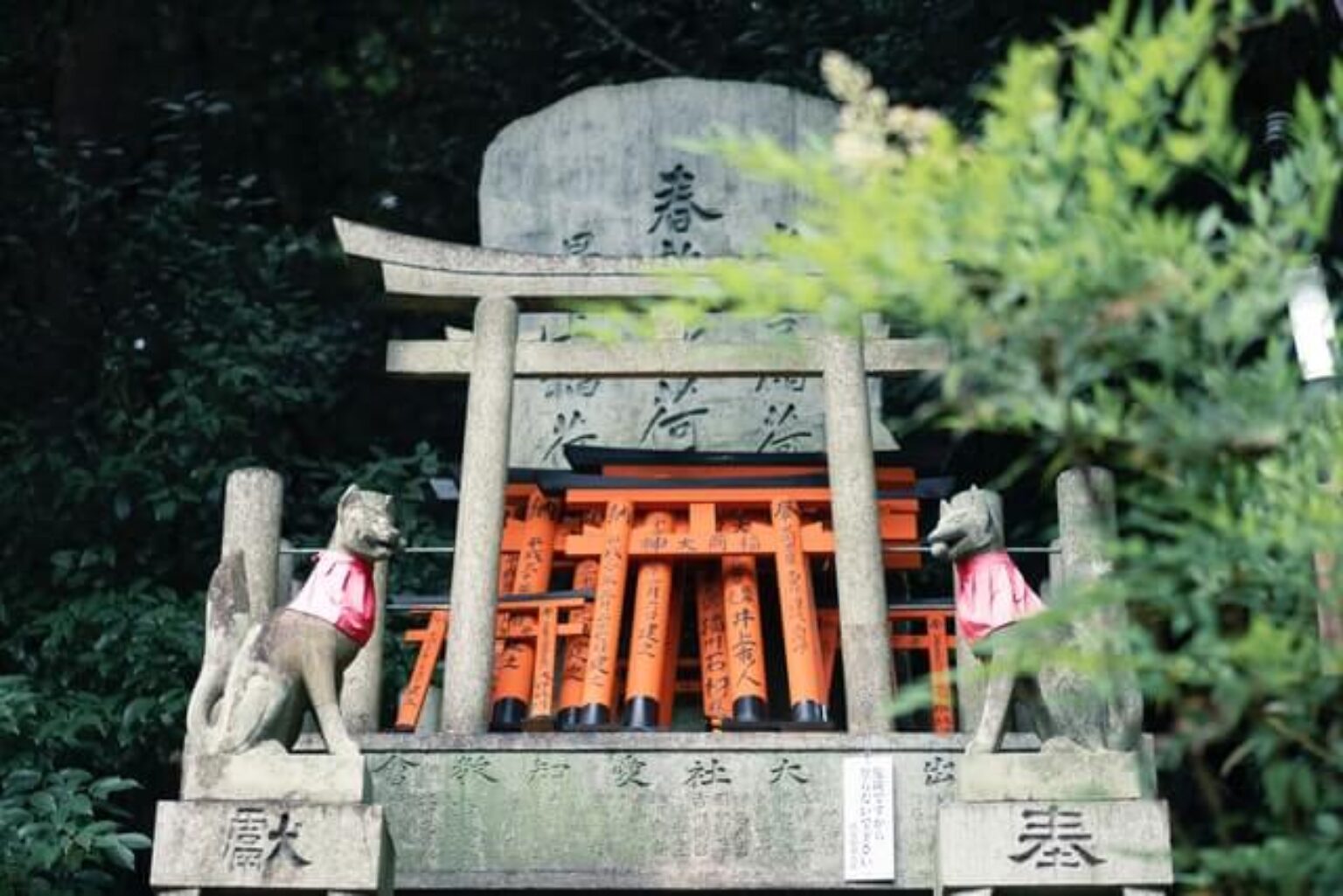 Exploring the Sacred Symbols of Shinto: Japan's Ancient Faith - Symbol Sage