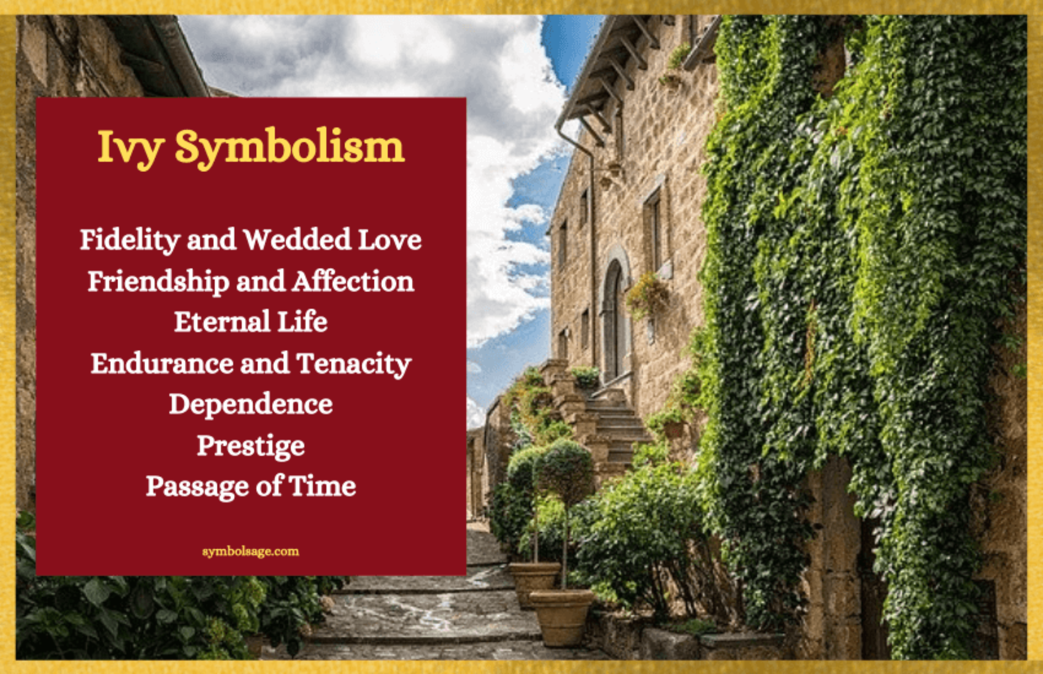 Ivy – Symbolism and Meaning - Symbol Sage