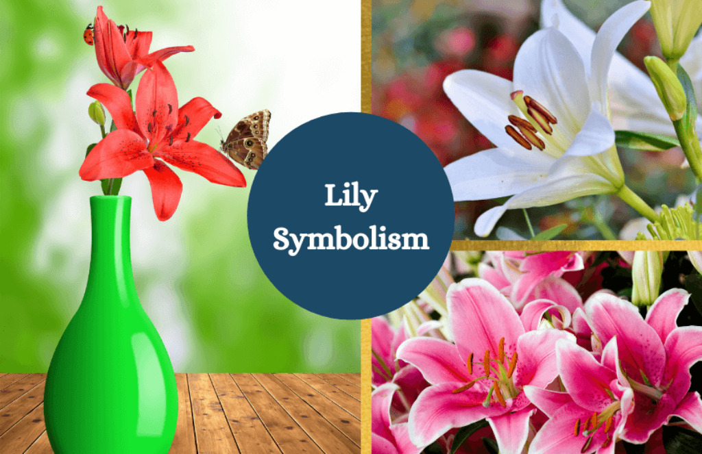 Lily – Symbolism and Meaning - Symbol Sage