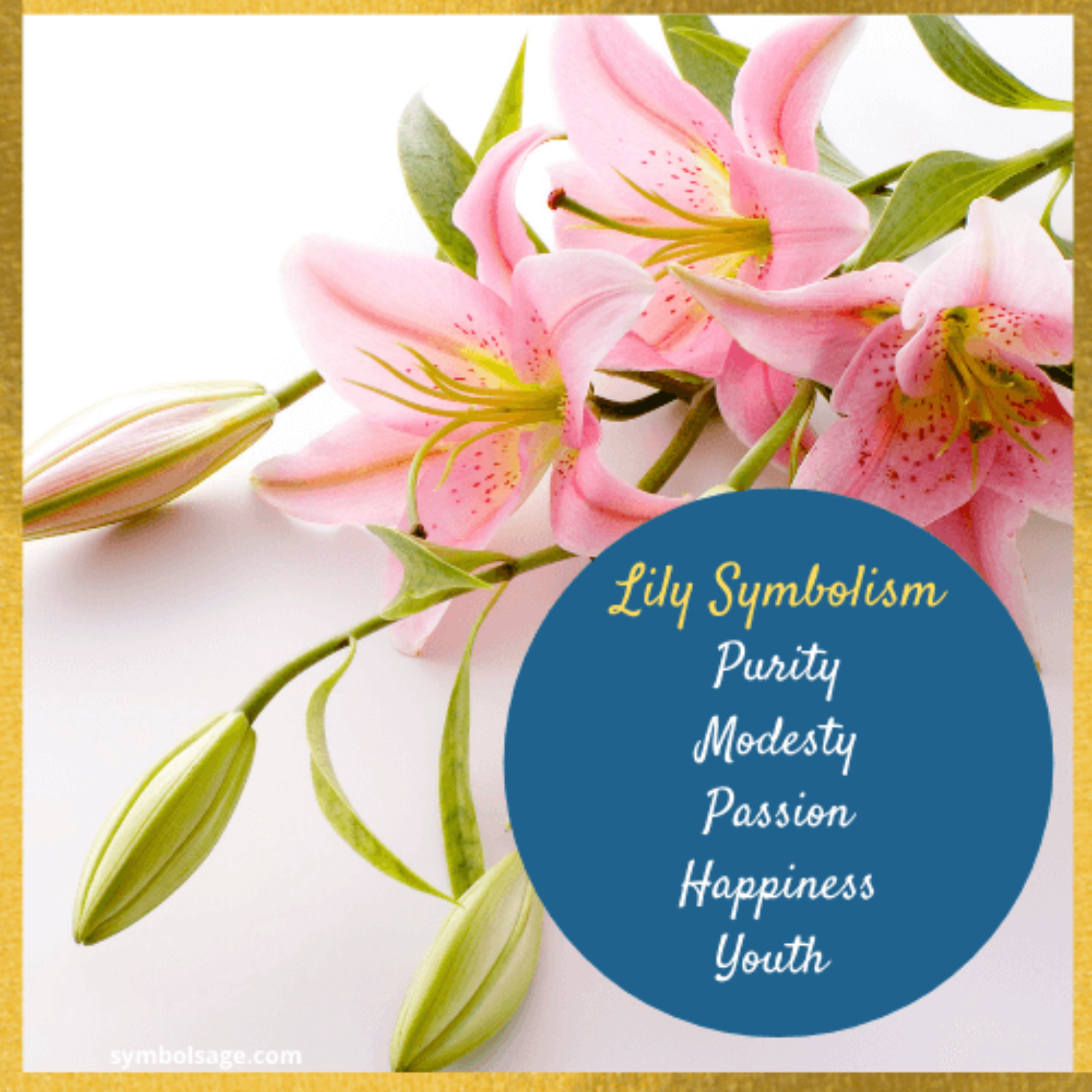 Lily – Symbolism and Meaning - Symbol Sage