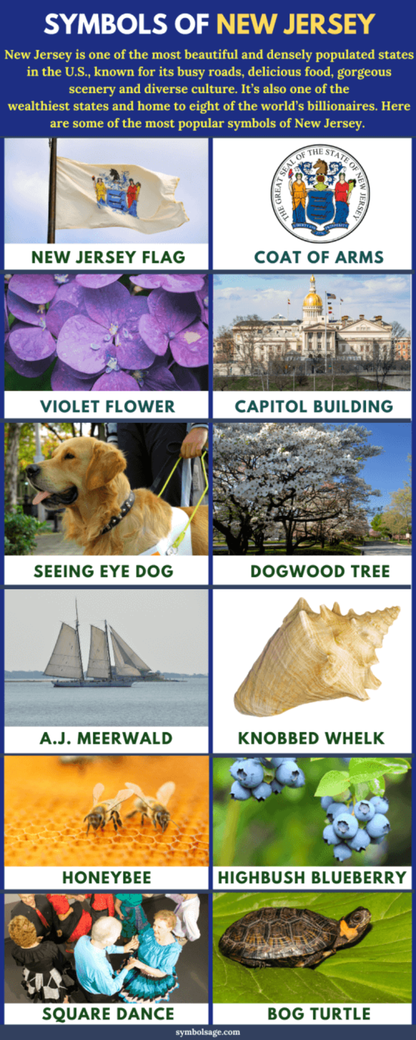12 Symbols of New Jersey (List with Images) - Symbol Sage