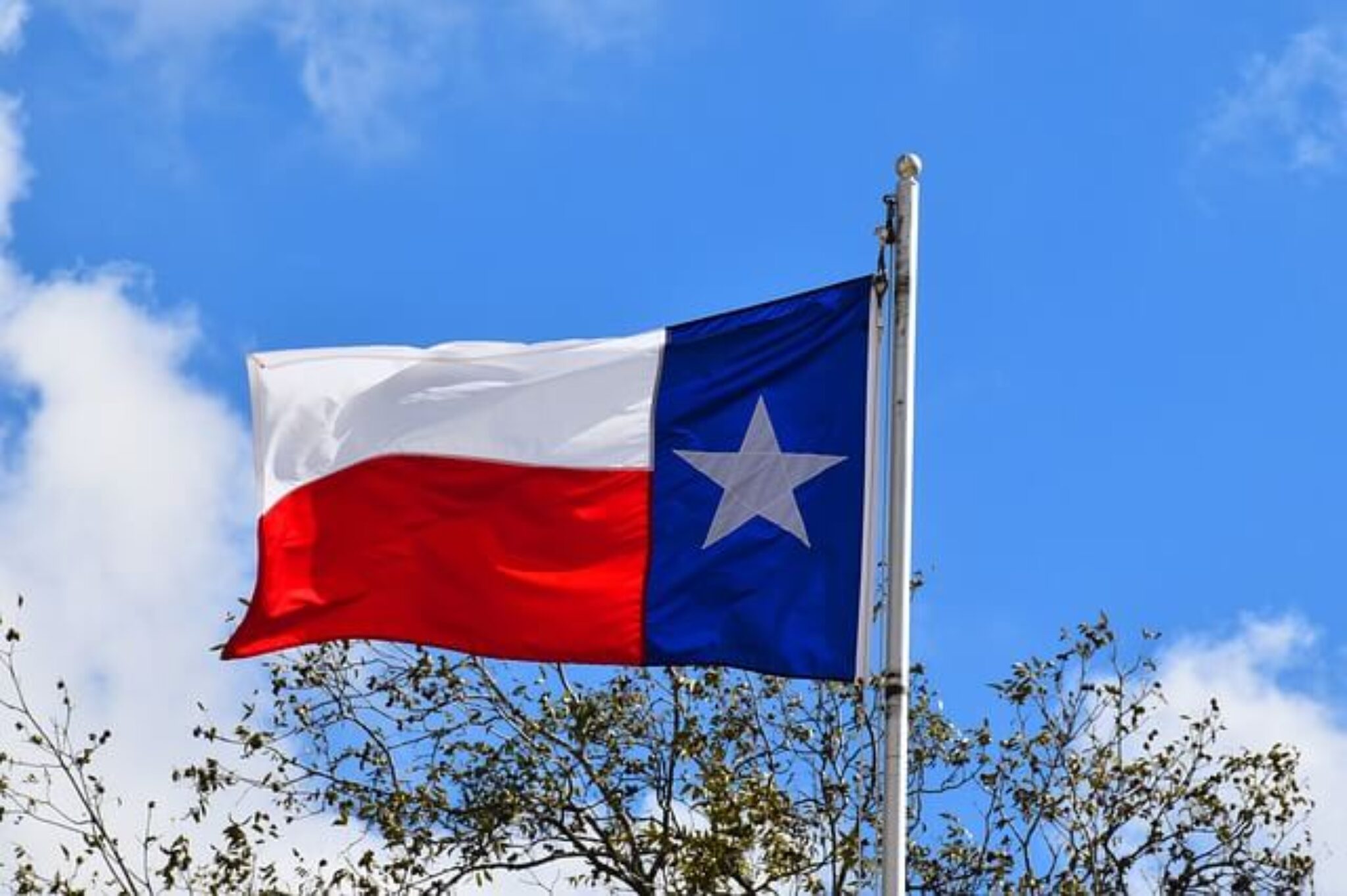 Symbols of Texas: Uncovering the State's Cultural Icons - Symbol Sage