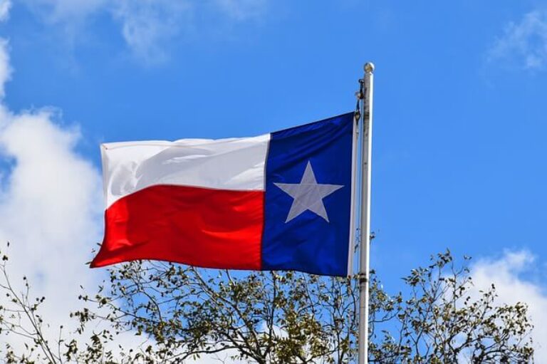 Symbols of Texas: Uncovering the State's Cultural Icons - Symbol Sage