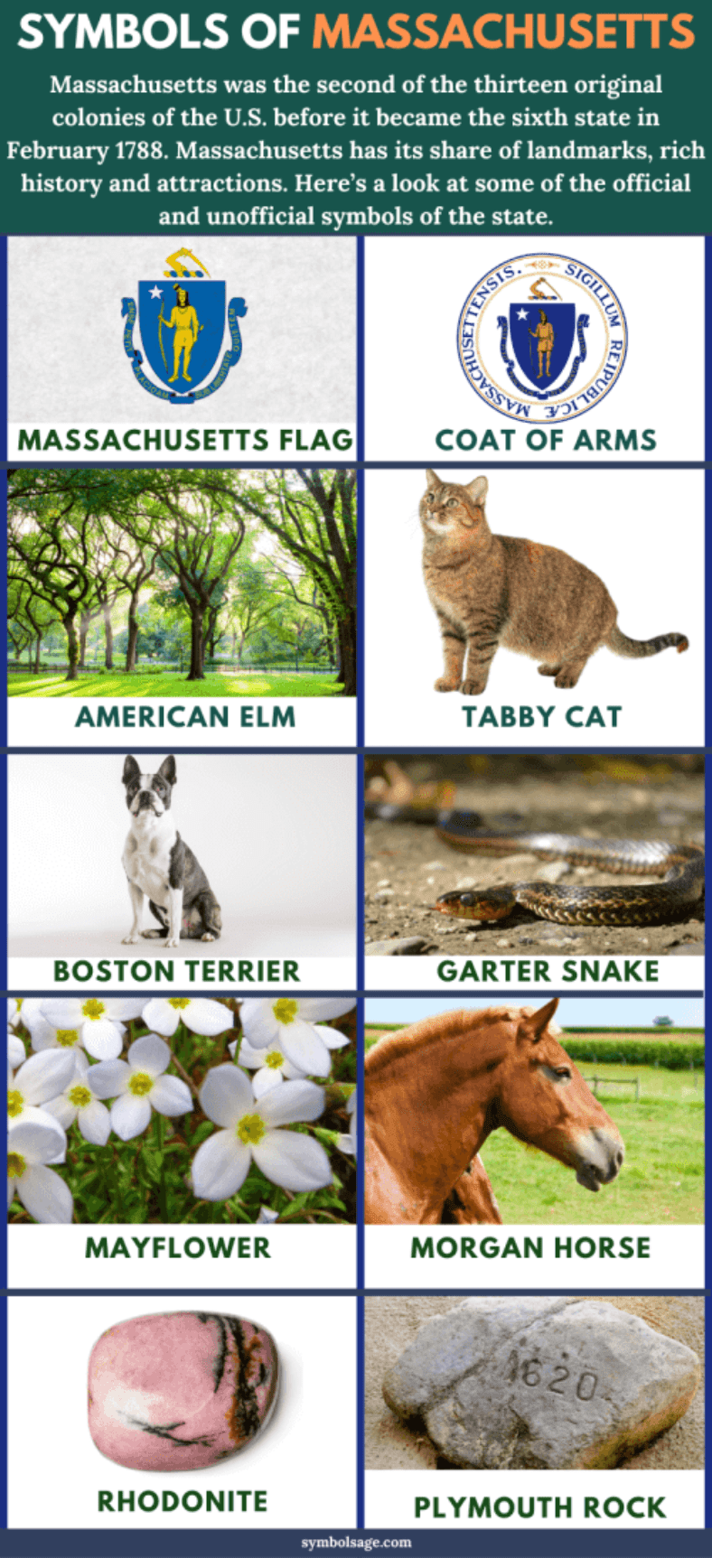 Symbols of Massachusetts – A List - Symbol Sage