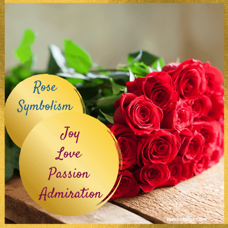 Rose – Symbolism and Meaning - Symbol Sage