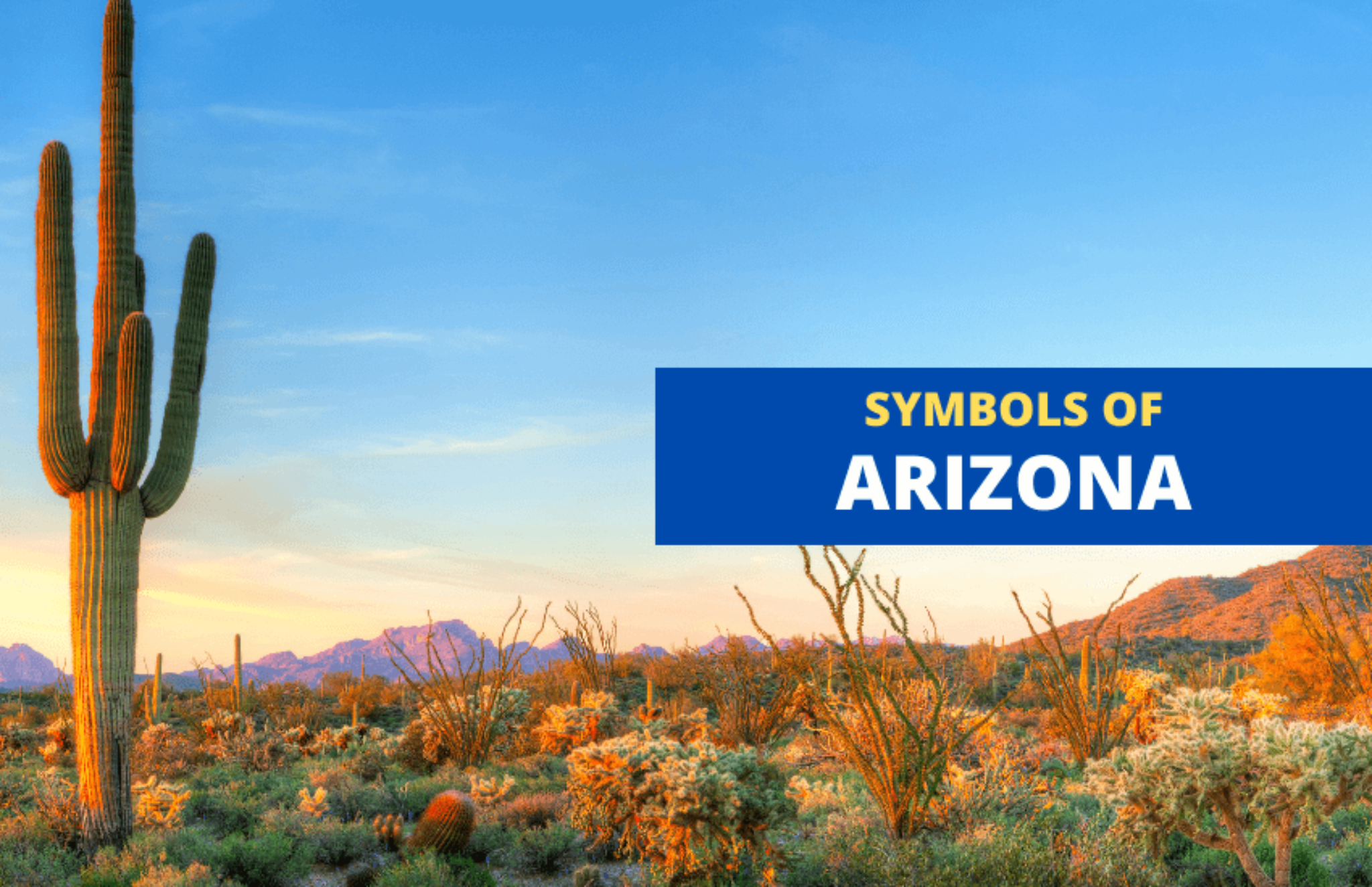 Symbols of Arizona (And What They Mean) - Symbol Sage