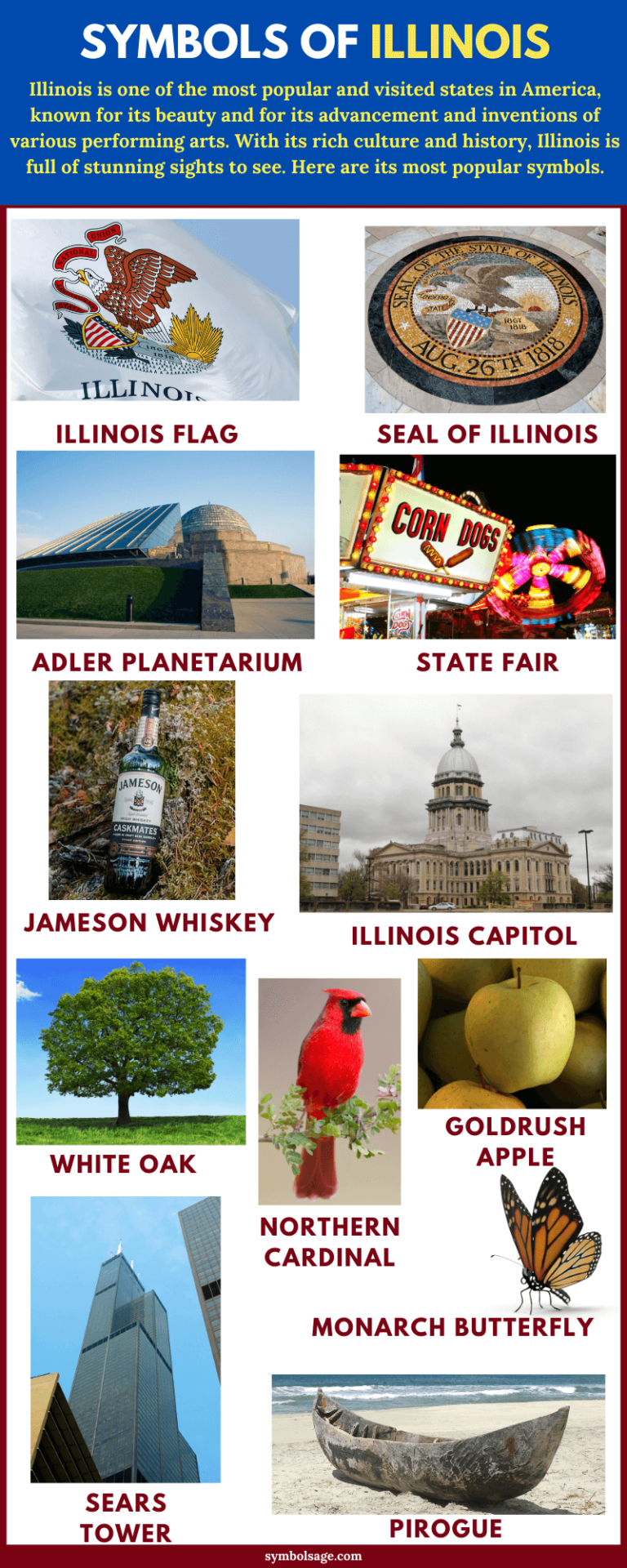 Symbols of Illinois (with Pictures) - Symbol Sage