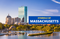 Symbols of Massachusetts – A List - Symbol Sage