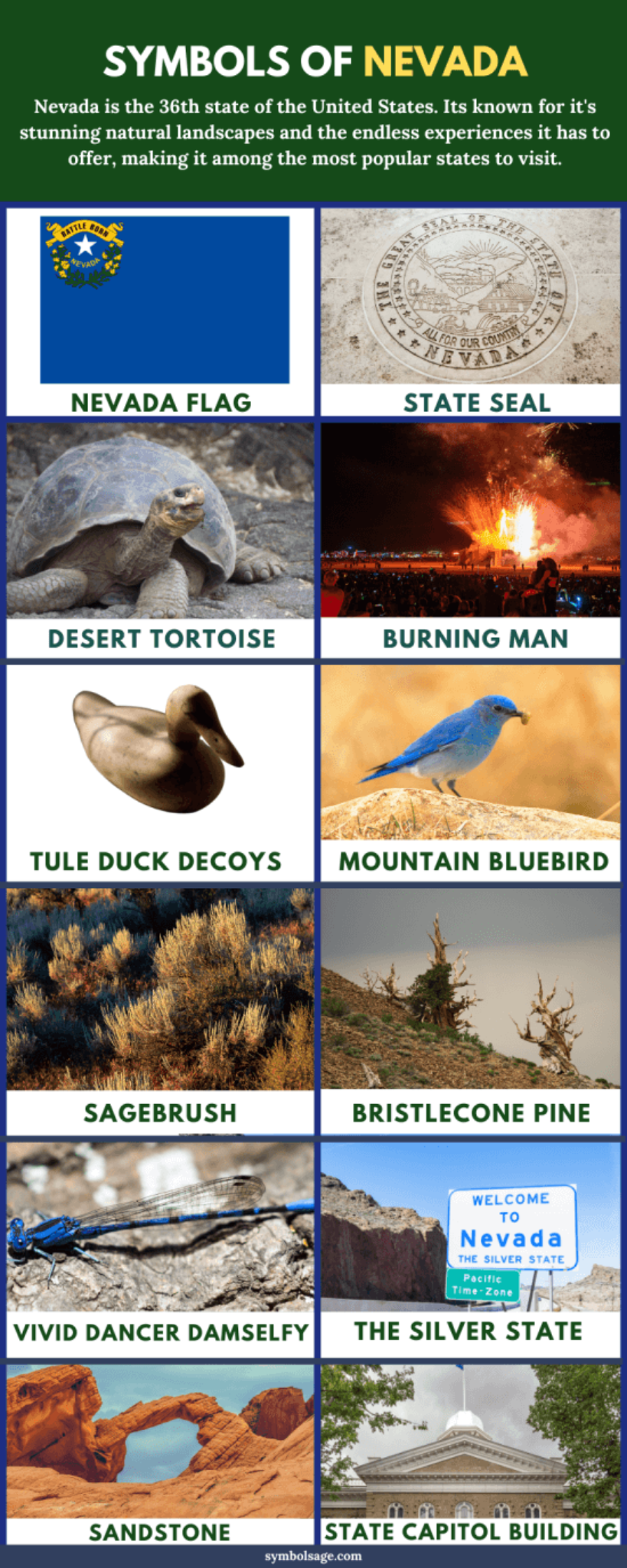 Symbols of Nevada and Why They’re Significant - Symbol Sage