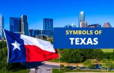 Symbols of Texas: Uncovering the State's Cultural Icons - Symbol Sage