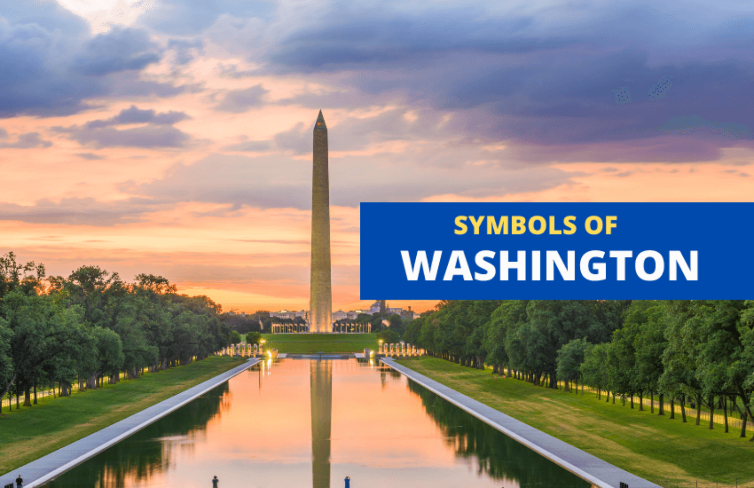 15 Symbols of Washington (List with Images) - Symbol Sage