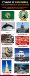 15 Symbols of Washington (List with Images) - Symbol Sage