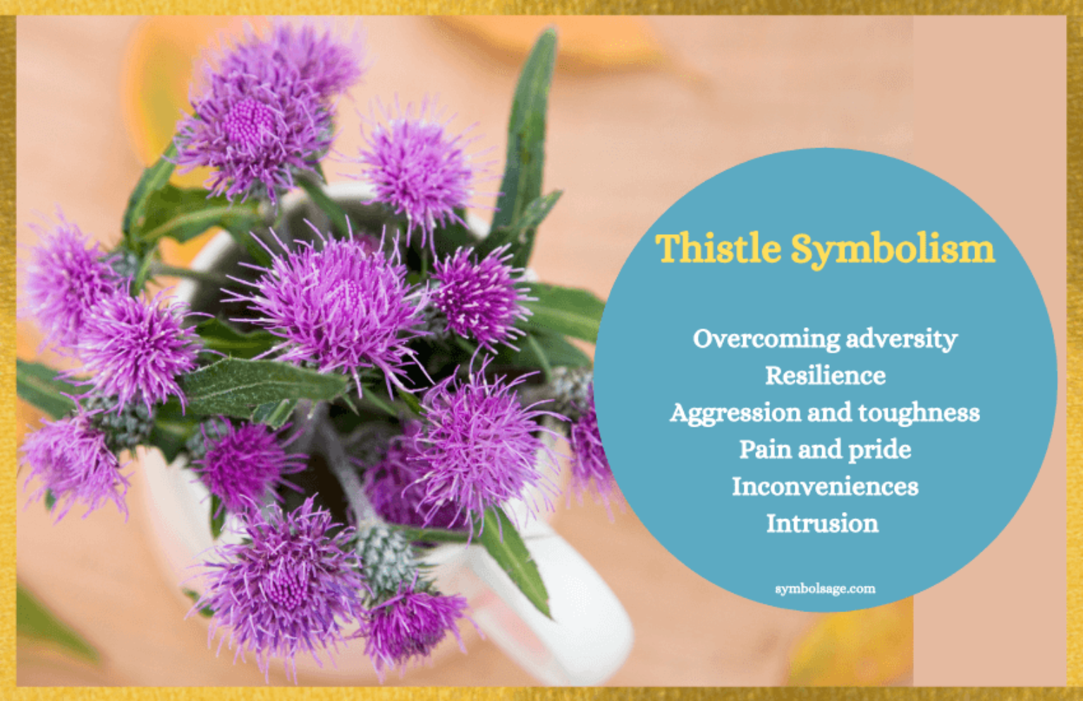 The Thistle: A Symbol of Toughness in Scottish Tradition - Symbol Sage
