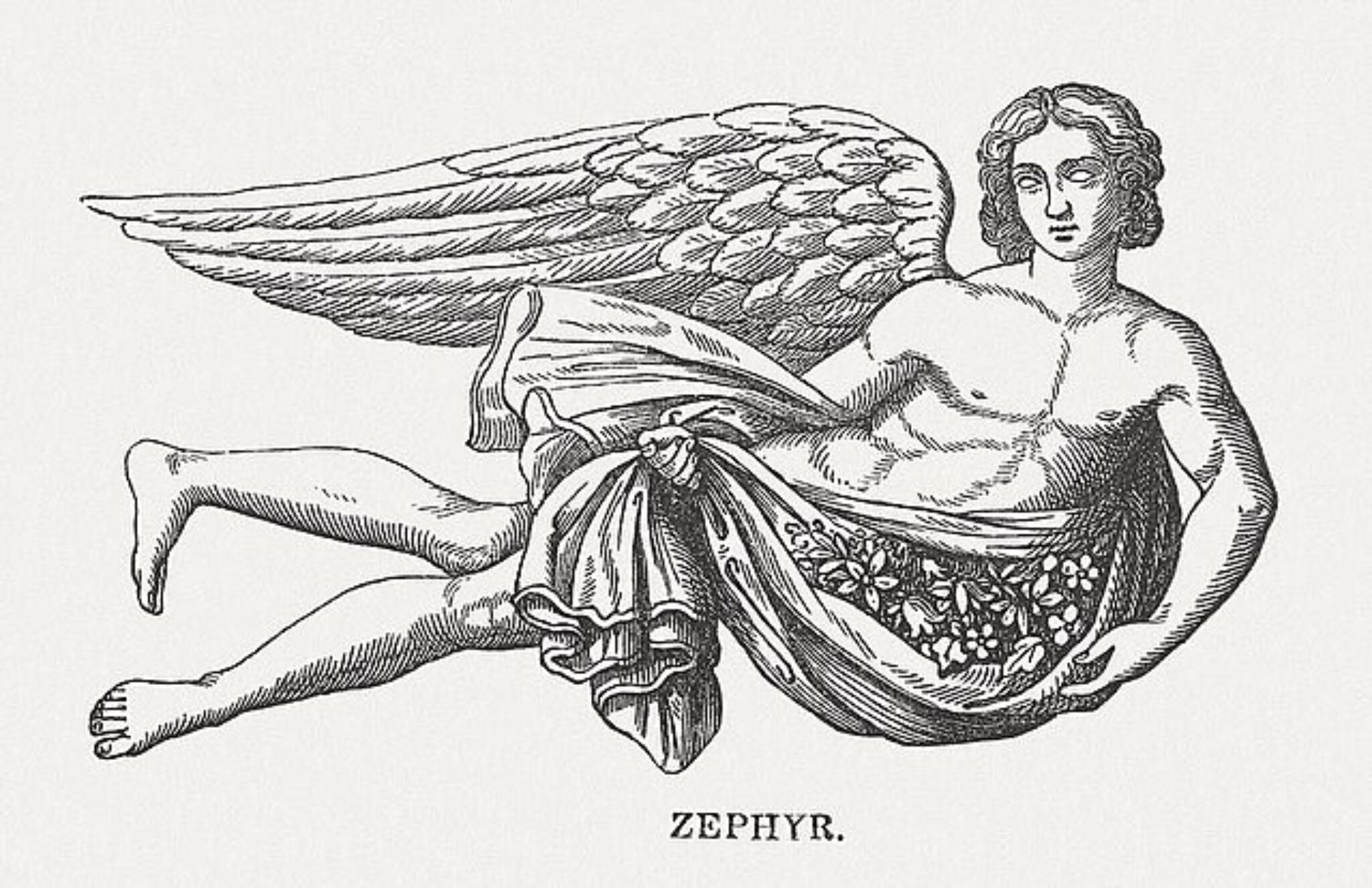 Harpies: Symbolism, Stories, and Their Place in Greek Mythology ...
