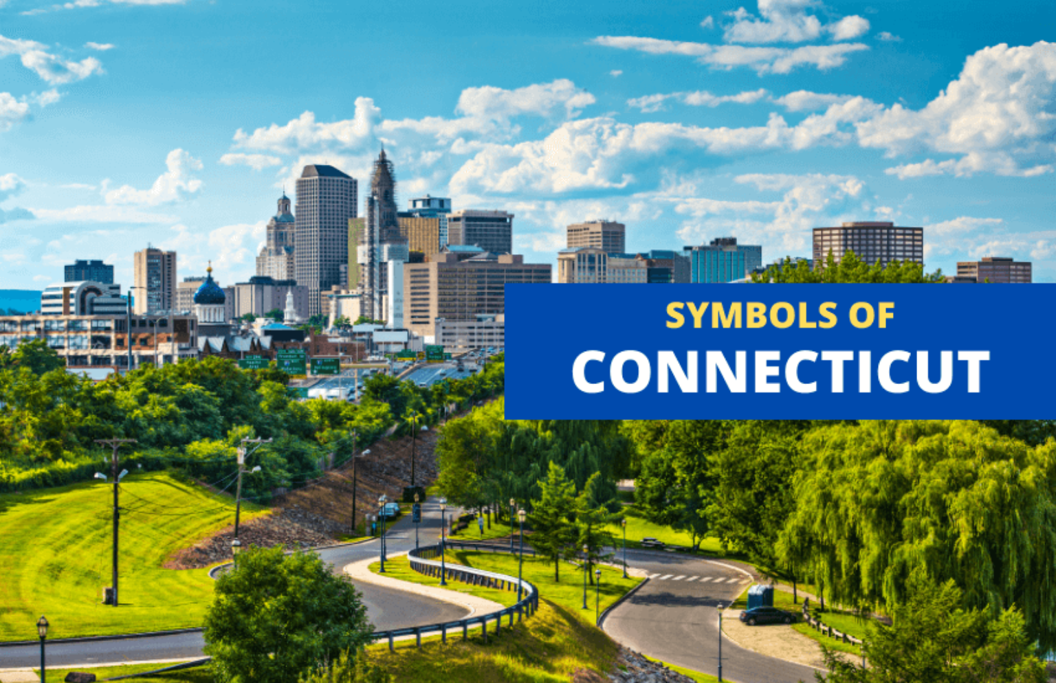 Symbols of Connecticut and What They Represent - Symbol Sage