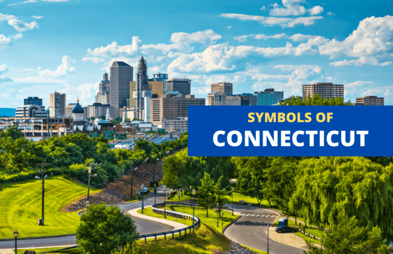 Symbols of Connecticut and What They Represent - Symbol Sage