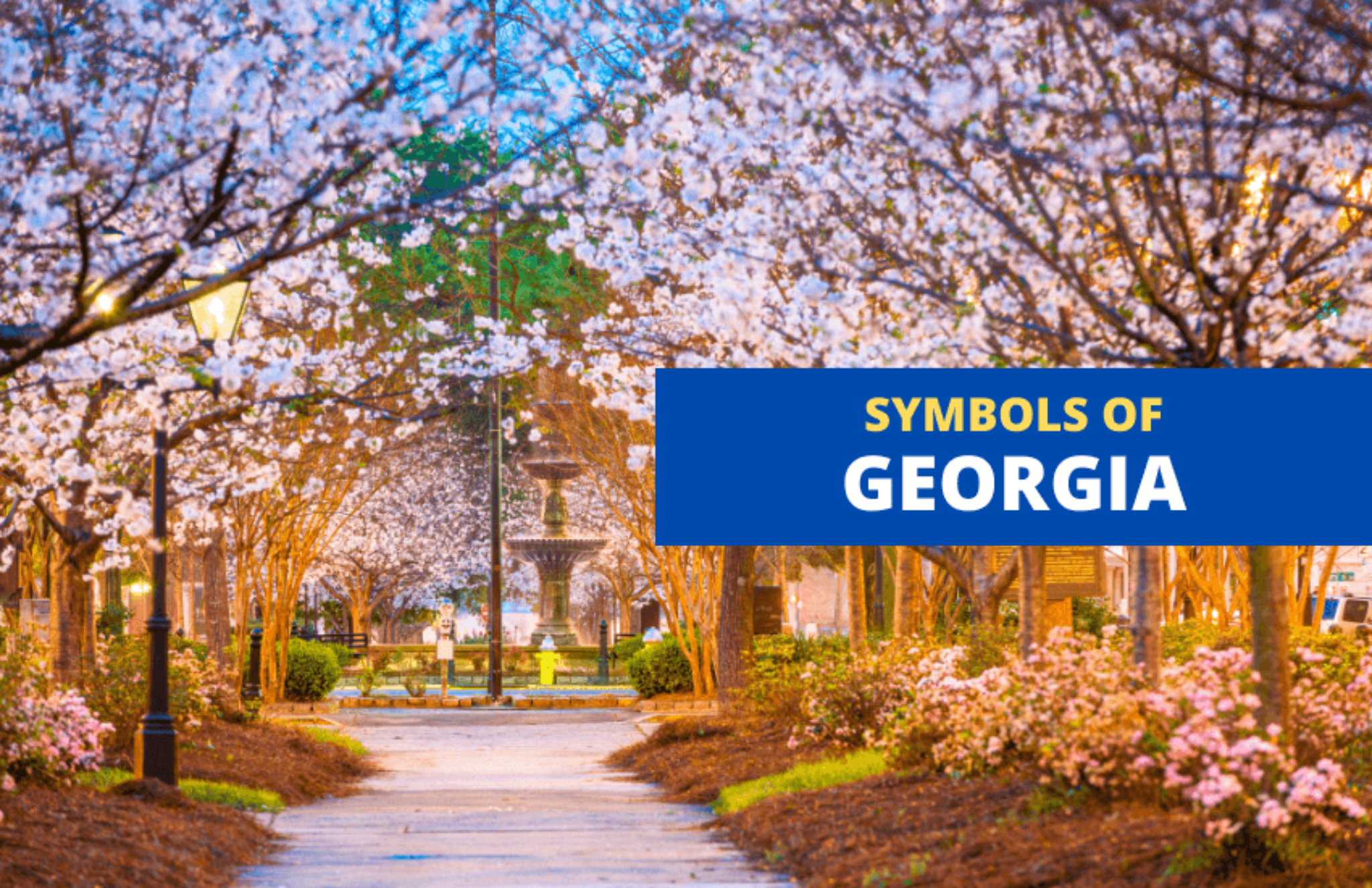 Symbols of Georgia – A List - Symbol Sage