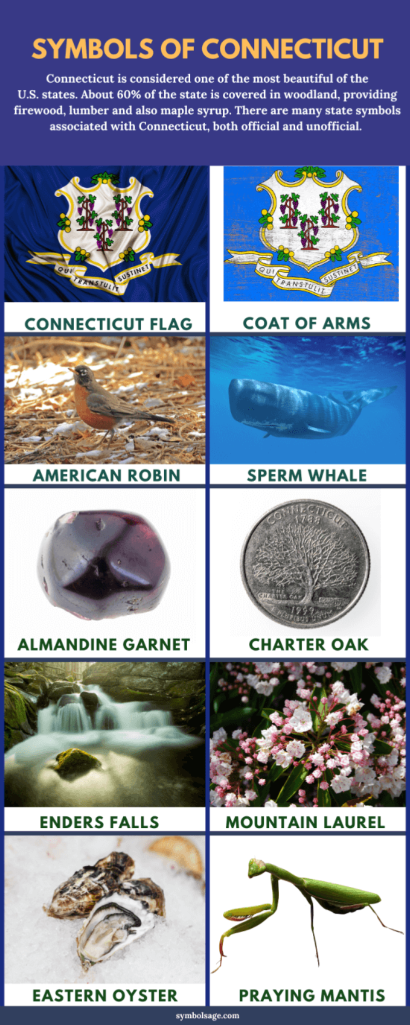 Symbols of Connecticut and What They Represent - Symbol Sage