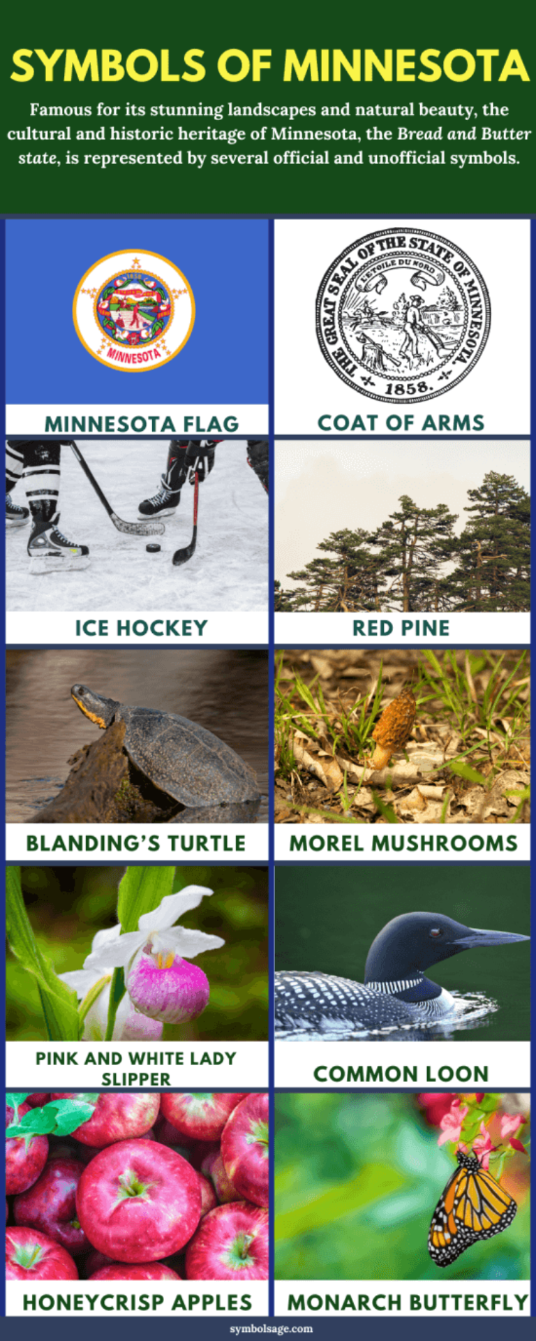 Symbols of Minnesota – A List - Symbol Sage