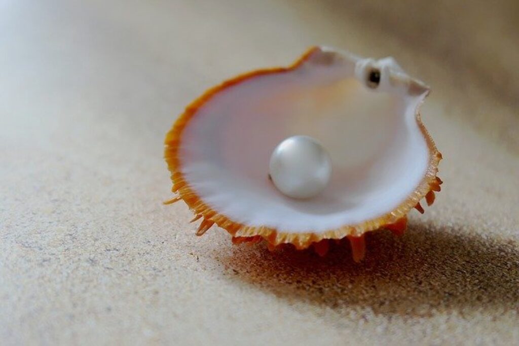 Top 15 Symbols of Purity and Their Meanings