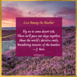 Heather – Symbolism and Meaning - Symbol Sage