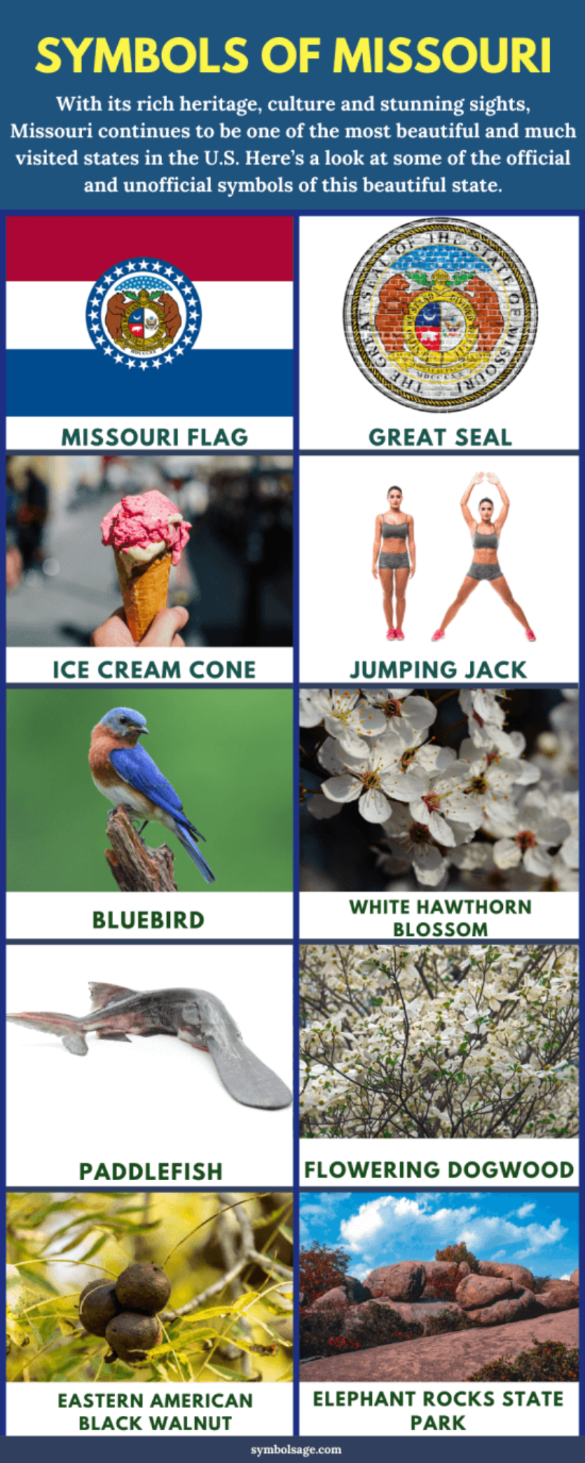 Missouri's Symbols: The Stories Behind Its Official Emblems - Symbol Sage