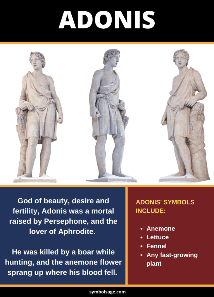 The Story of Adonis: Greek Mythology's Handsome Mortal - Symbol Sage