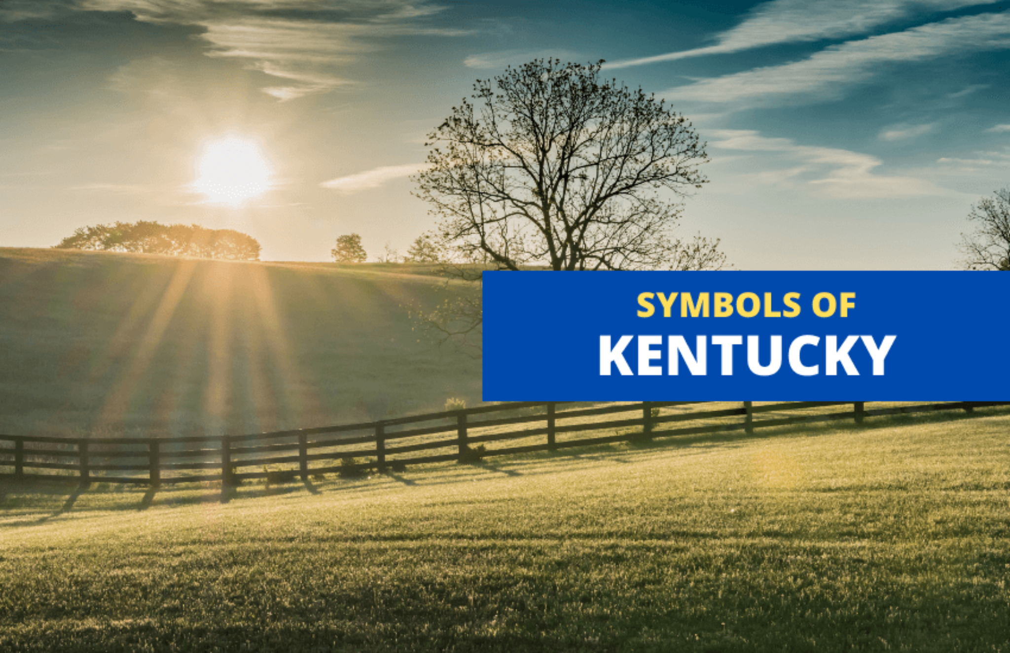 Symbols of Kentucky – A List - Symbol Sage
