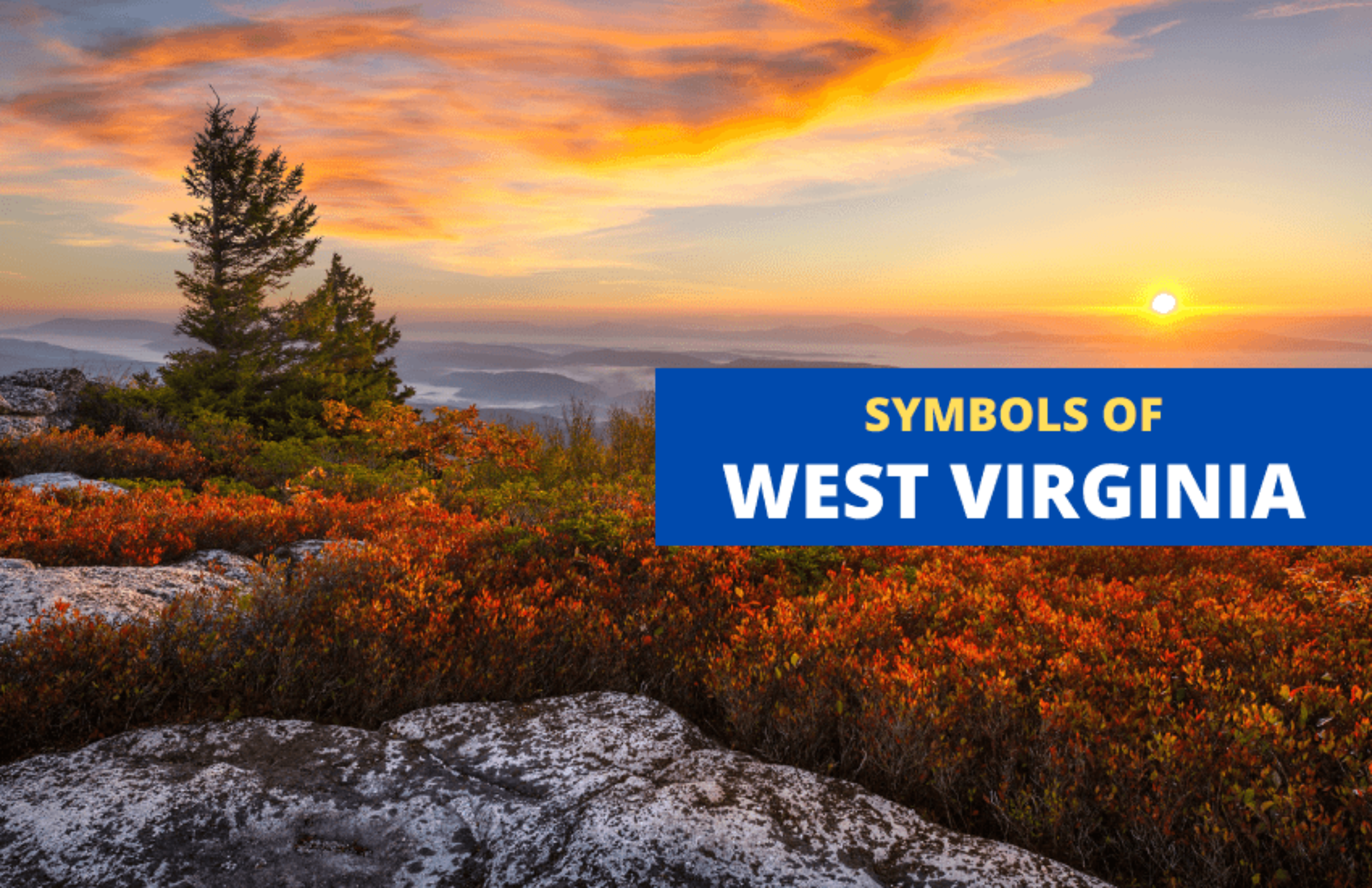Symbols of West Virginia and What They Mean - Symbol Sage